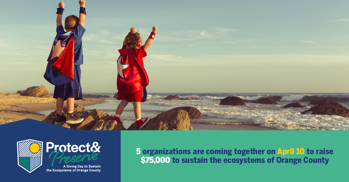 Protect and Preserve