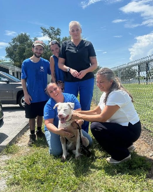 Suncoast Humane Society